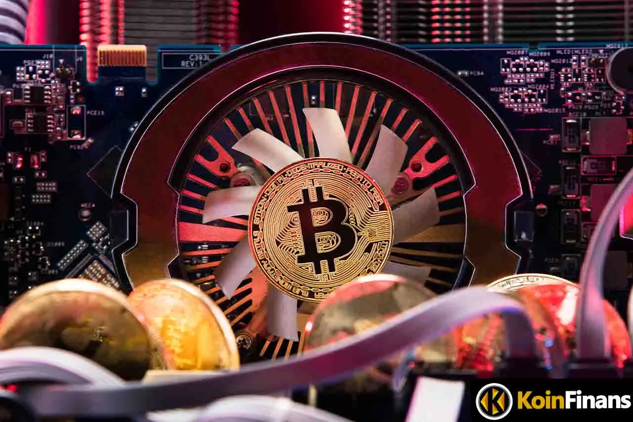 Madencilik Yaptıkça Kazandıran Model Balinaların Dikkatini Çekti: O ...